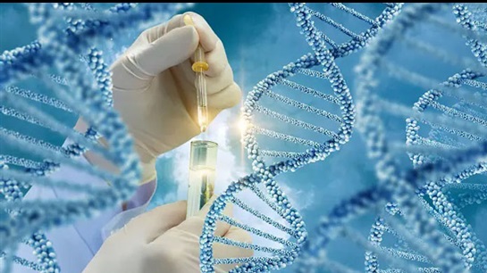 Australia: Life insurers backs government ban on genetic testing in ...